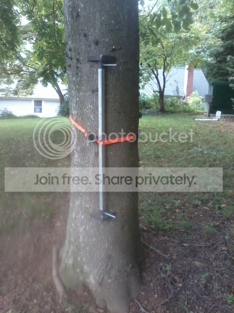 Lone Wolf/Muddy Climbing stick wall thickness question | Archery Talk Forum