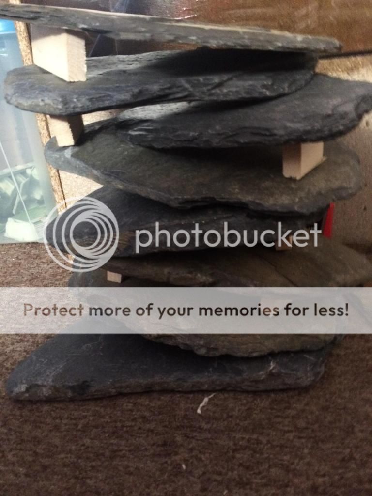 Help with Retes stack | Reptile Forums