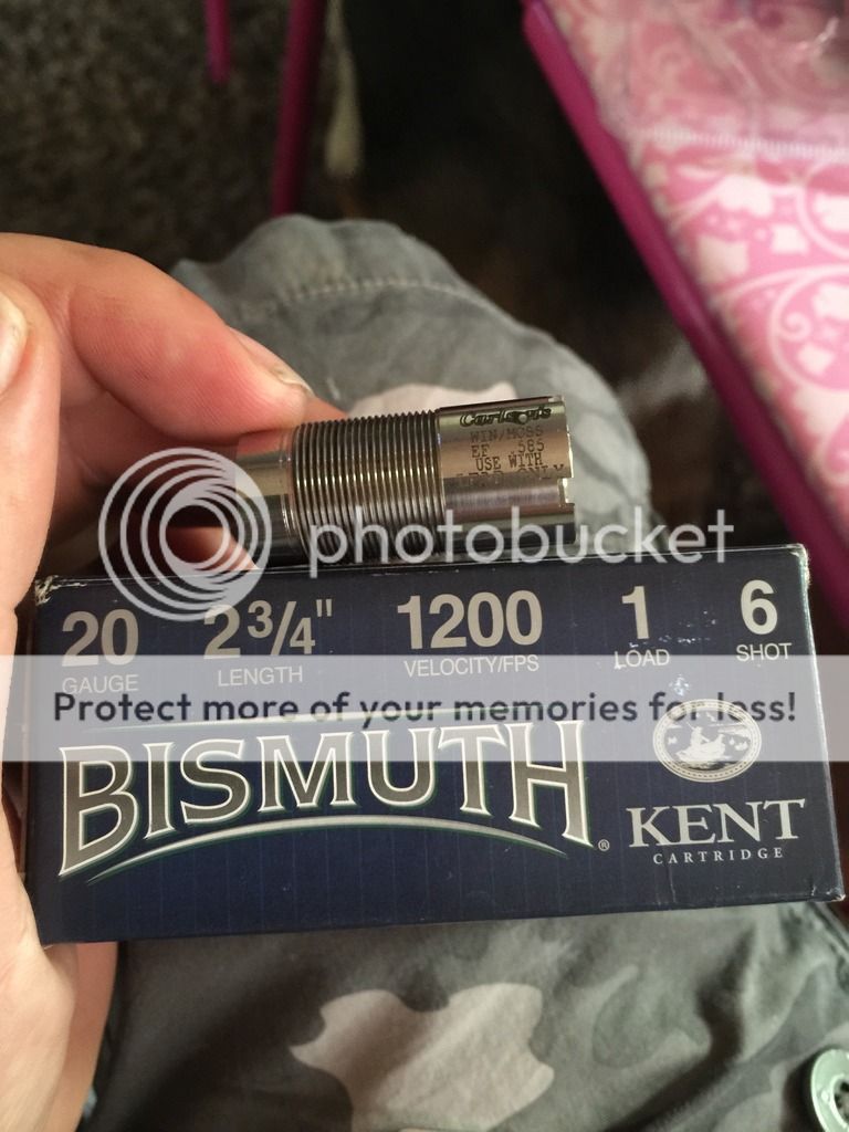 20 gauge- Bismuth size 5&6 shot- Extra Full choke??? - Calguns.net